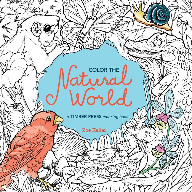 Color the Natural World - Paperback - Walmart.com