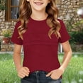 Atogsazn Kids Girls Summer Short Sleeve T-shirt Casual Pleated Crew ...