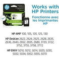 Original HP 65XL Black High-yield Ink Cartridge | Works with HP AMP 100 ...