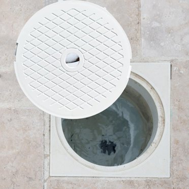 Skimmer Wizard Pool Skimmer Guard - Walmart.com