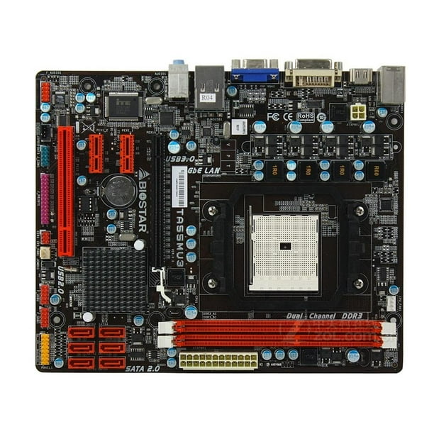 Placa base Biostar TA55MU3 Socket FM1 AMD A55 DDR3 Micro ATX | Bodega ...