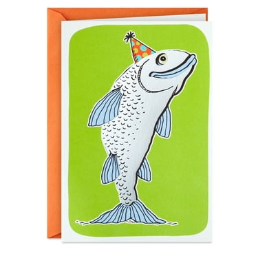 Hallmark Maxine Funny Birthday Cards Assortment (5 Cards with Envelopes ...