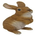Hi-Line Gift Ltd Standing Rabbit Statue - Walmart.com