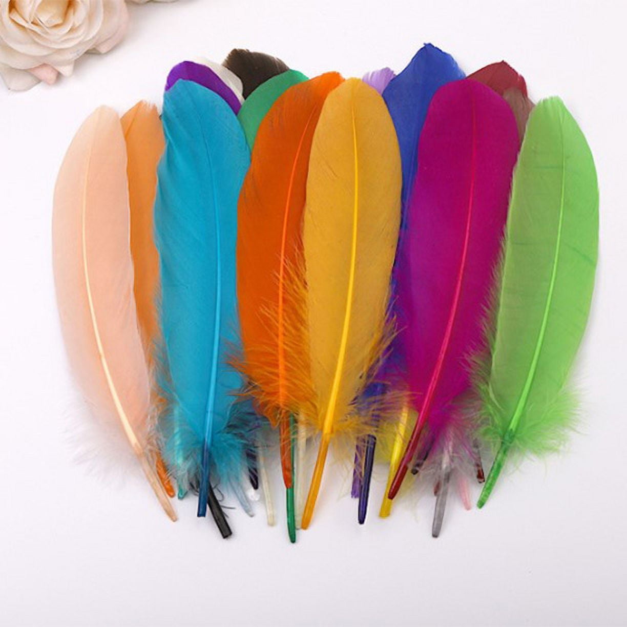 Plumas naturales, 25 piezas de plumas de colores, plumas de ganso ...