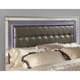 Furniture of America Amana Panel Bed, Queen, Silver and Dark Gray ...