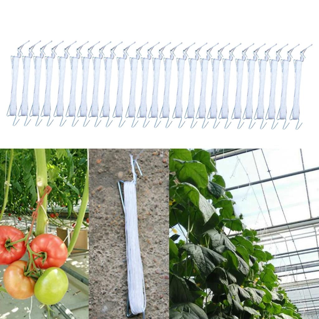 Set of 25 Tomato Hooks Support Clamps For Greenhouse Farm Planting ...