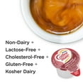 Coffee mate Cinnamon Vanilla Creme Liquid Coffee Creamer Singles, 0.375 ...