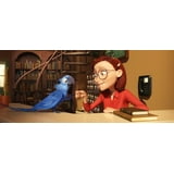 Rio (DVD) - Walmart.com