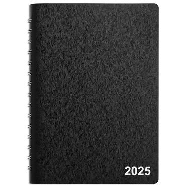 AT-A-GLANCE DayMinder 2025 Daily Appointment Book Planner Black Small 5 ...