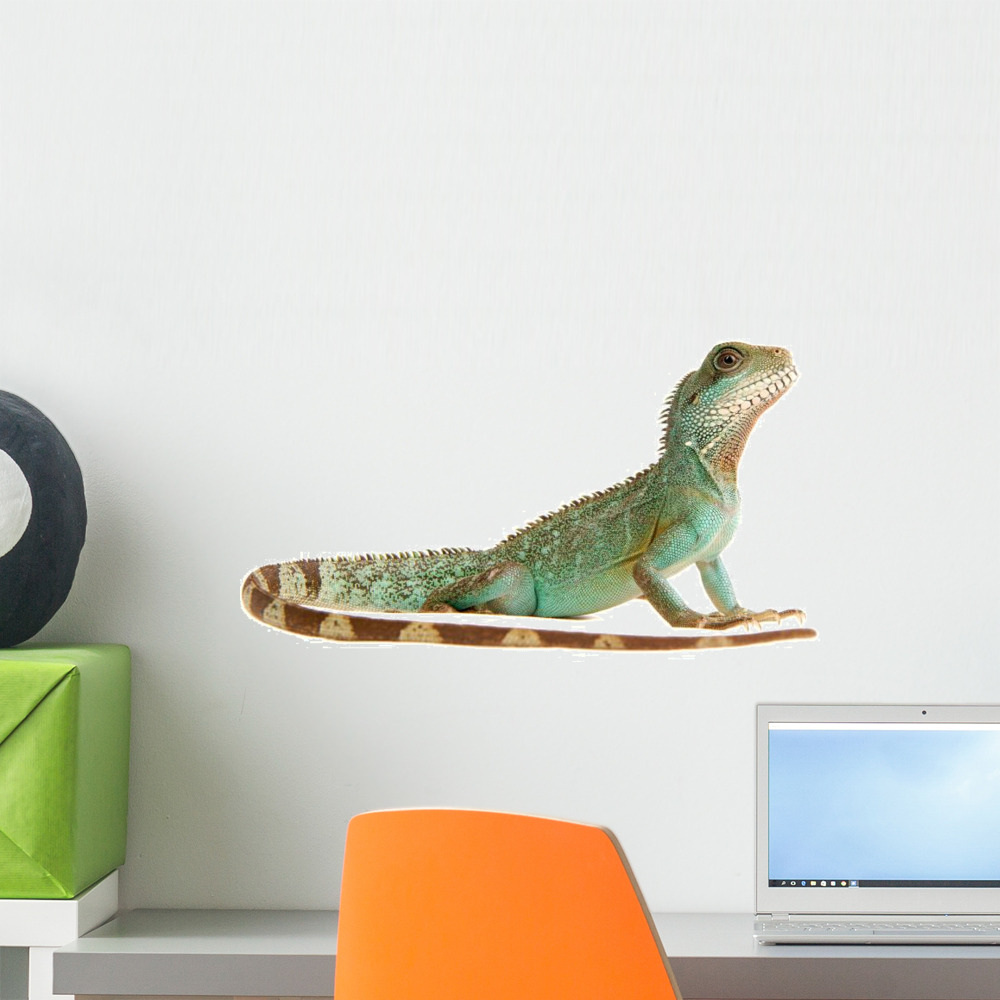 Lego Lizard Decals