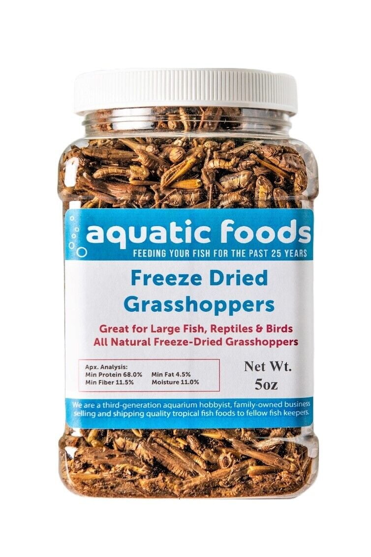 Grasshoppers - Freeze Dried Grasshoppers for Tropical Fish, Reptiles ...