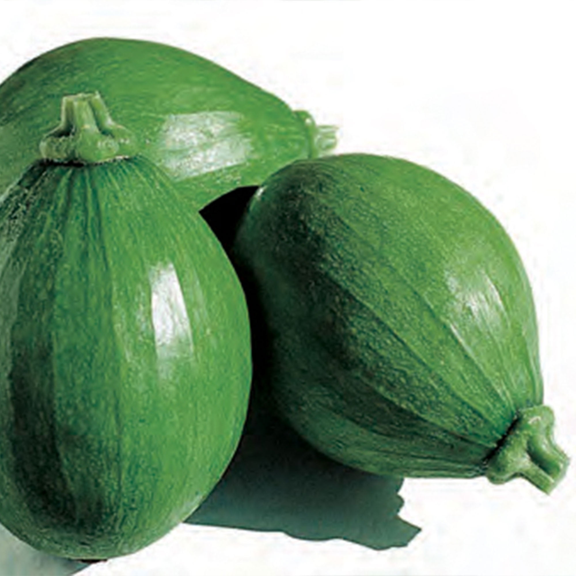 Squash Seeds - Korean, Summer - Teot Bat Put - Hybrid - 4 Oz ~800 Seeds ...