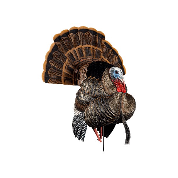 Avian-X HDR Strutter Adjustable Tail Fan Realistic Turkey Hunting Decoy ...