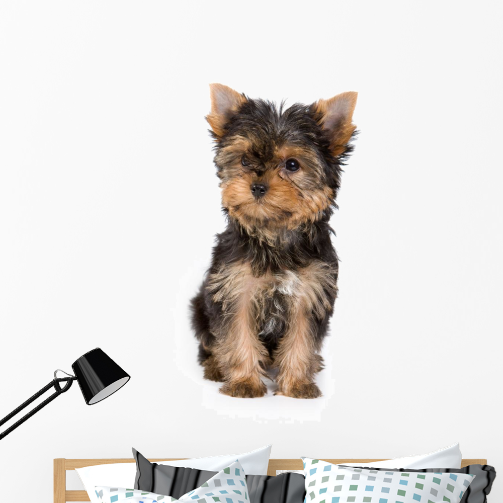 Yorkshire Terrier Puppy Yorkie Wall Mural Decal by Wallmonkeys Vinyl ...
