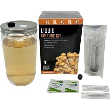 Home Indoor Supplies: Lion's Mane Mushroom Growing Kit - Walmart.com