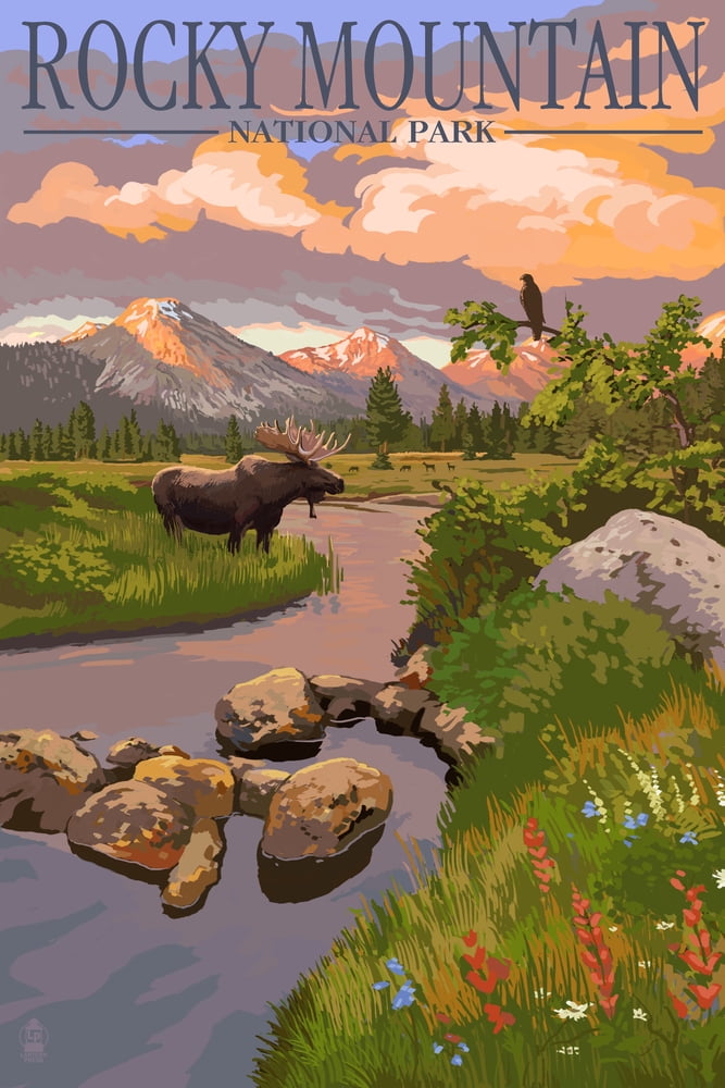 Rocky Mountain National Park, Colorado, Moose and Meadow (16x24 Giclee ...