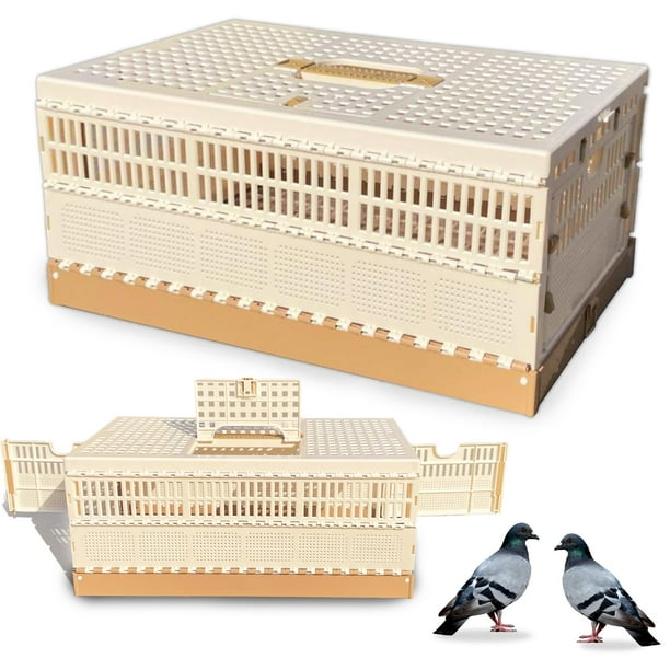 Large Plastic Folding Pigeon Cage - Travel, Training, and Competition ...