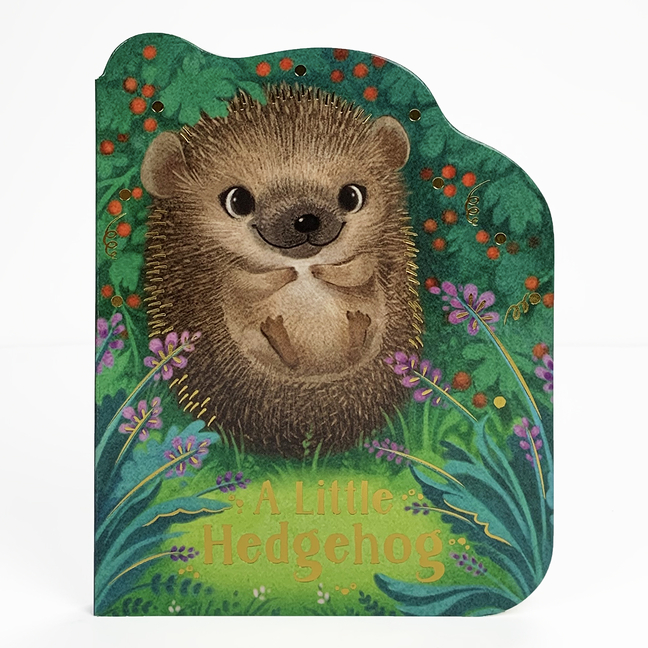 A Little Hedgehog (Board book) - Walmart.com - Walmart.com