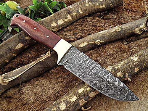 9.5″ Long hand forged Damascus steel Hunting knife, 4.5″ full tang blade, Red colored scale with ...