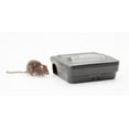 Bell Laboratories Protecta EVO Ambush Rodent Bait Station, Low-Profile ...