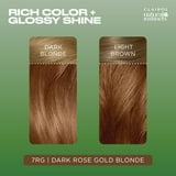 Clairol Natural Instincts Demi-Permanent Hair Color Creme 7RG Dark Rose ...