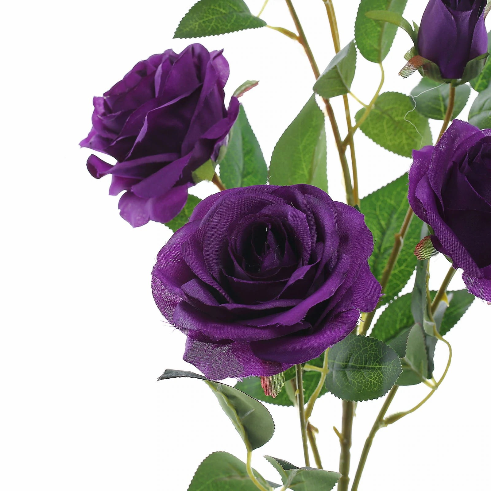 Single Lavender Rose