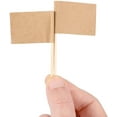 100 Pieces Blank Toothpick Flags Cheese Markers Food Labels for Party ...