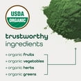 Zena Nutrition Organic Super Greens Powder, Mixed Berry, Superfood ...