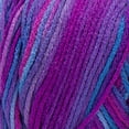 (2 pack) Red Heart® Super Saver™ #4 Worsted Acrylic Yarn, Grape Fizz ...