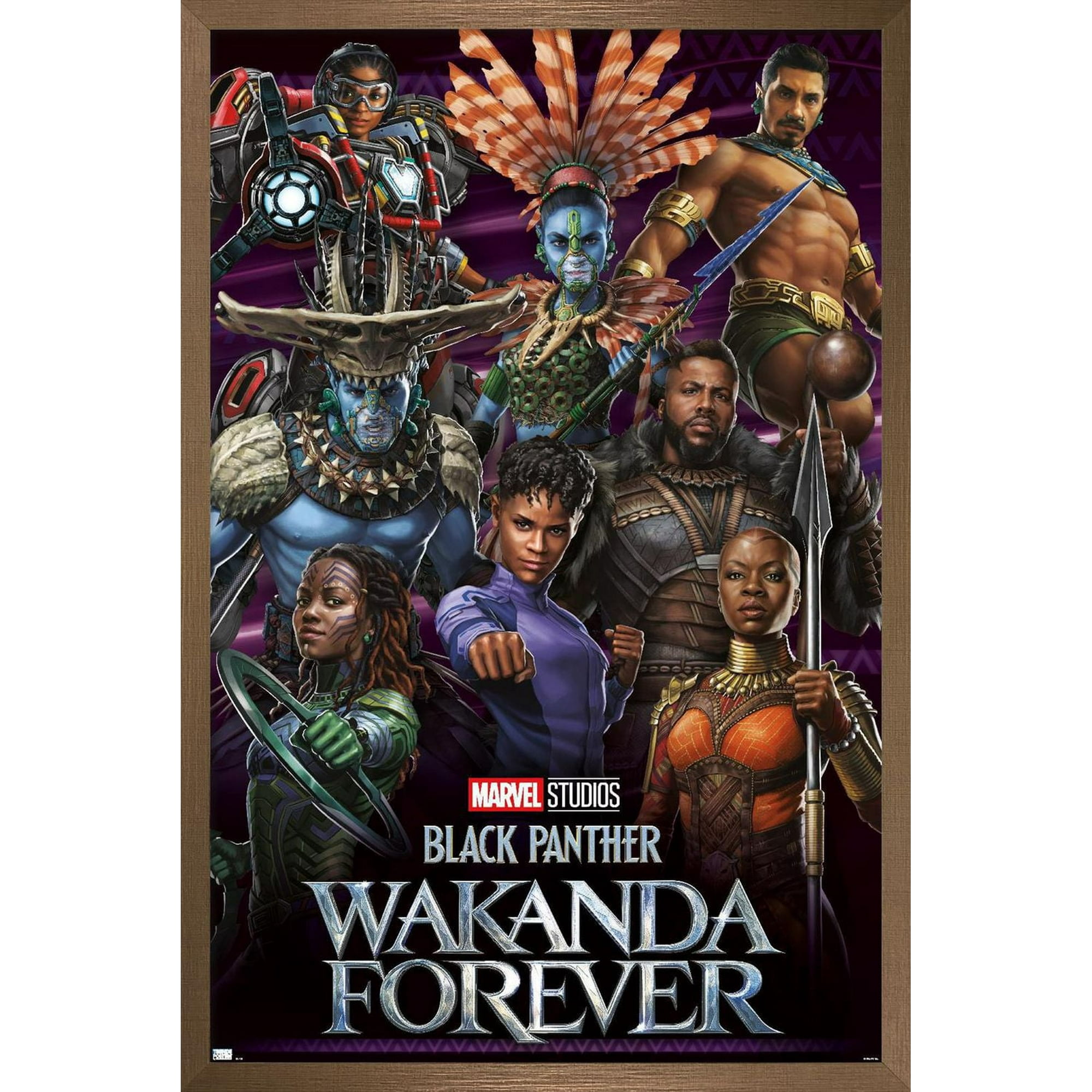 Click here for Trends International Marvel Black Panther: Wakanda... prices