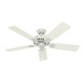 Hunter Fans - Pro's Best 52 Inch Ceiling Fan with LED Light Kit and ...