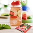 (2 pack) Bigelow Botanicals, Cold Water Infusion Tea Bags, Watermelon ...
