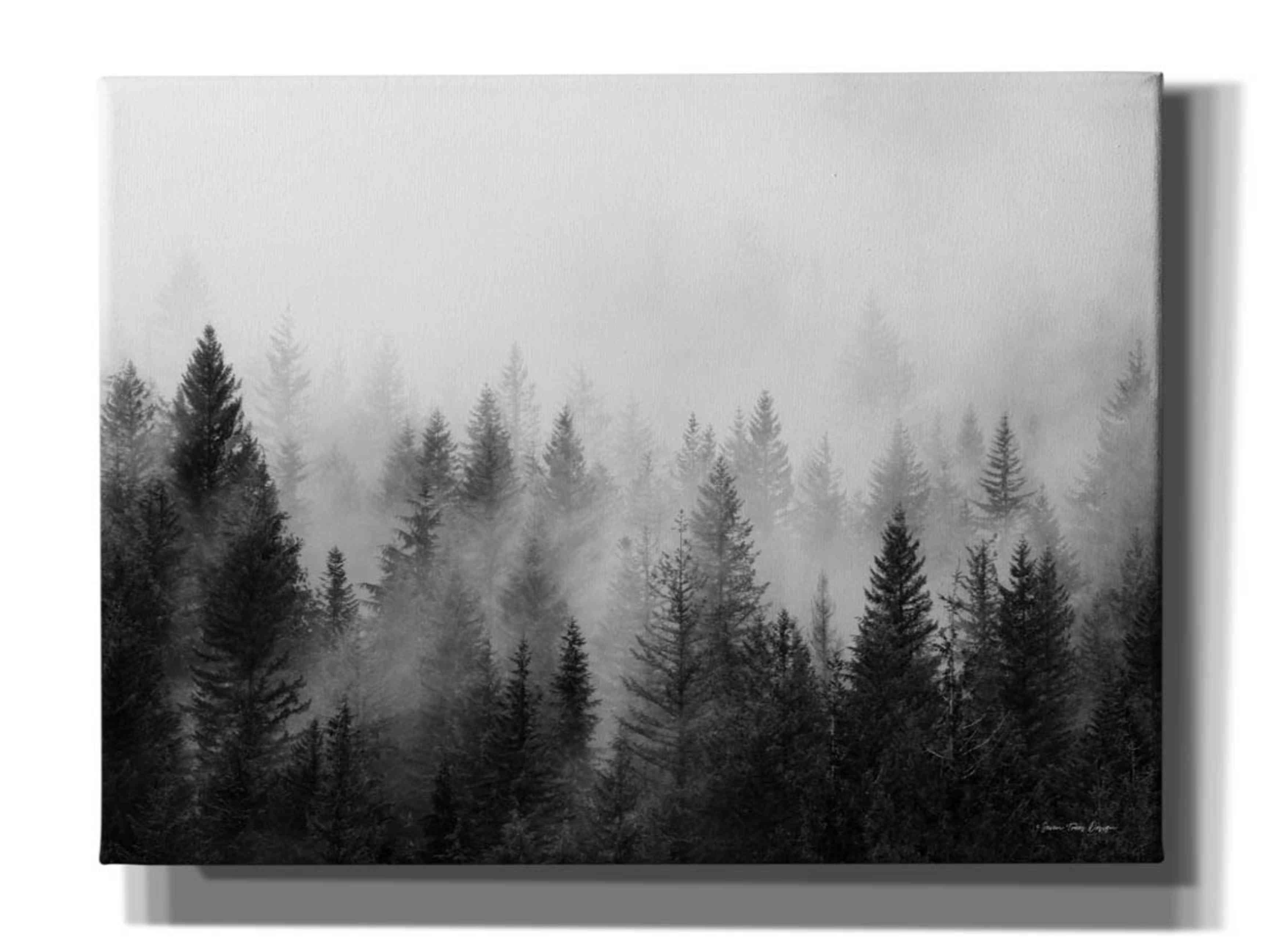 Epic Graffiti 'Forest' by Seven Trees Design, Canvas Wall Art, 54"x40 ...