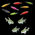 GloFish® Danio-Diamond 12ct Live Fish Assortment - Walmart.com