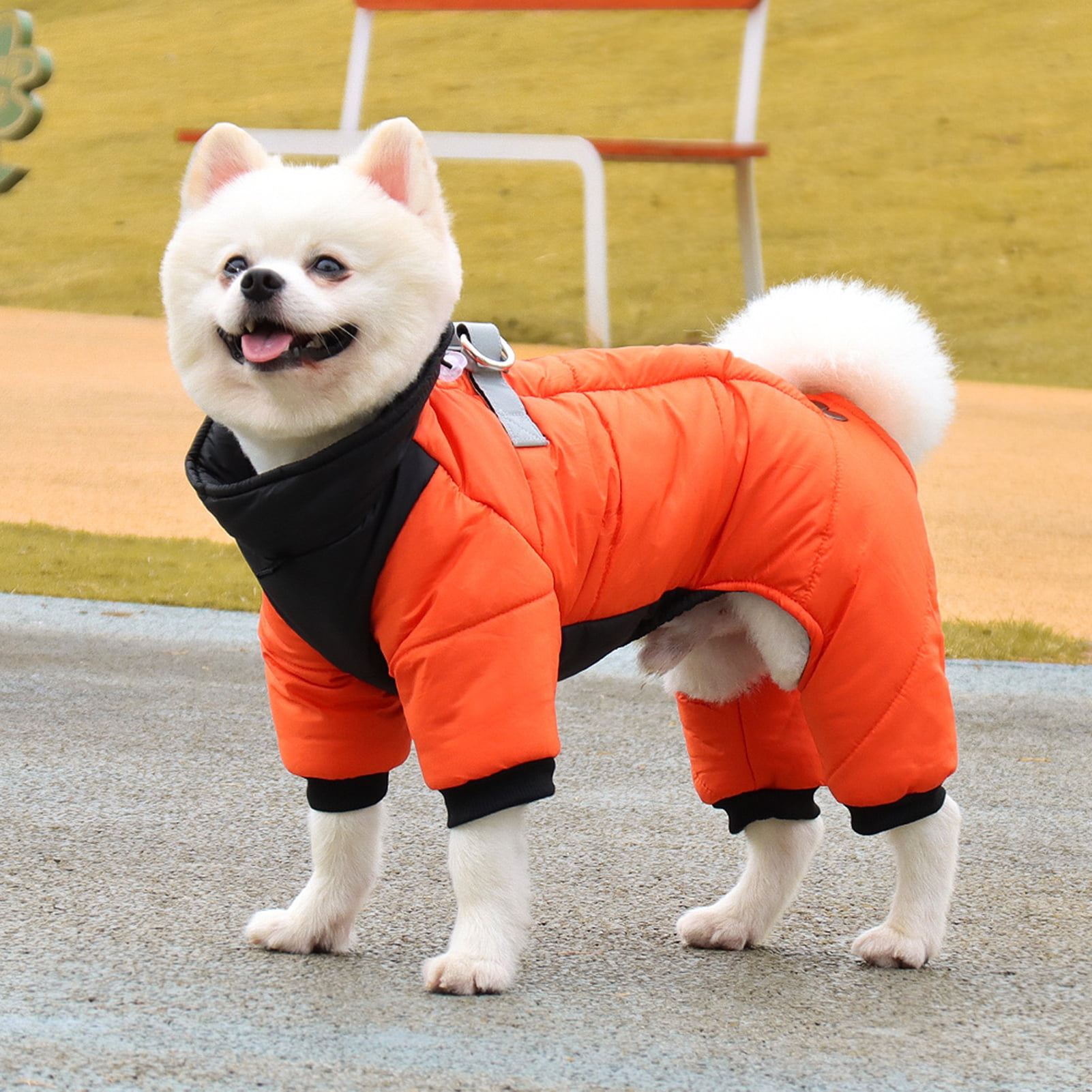 Mosey Cozy Dog Jacket Color Matching Design for Small Dogs Keep Warm ...