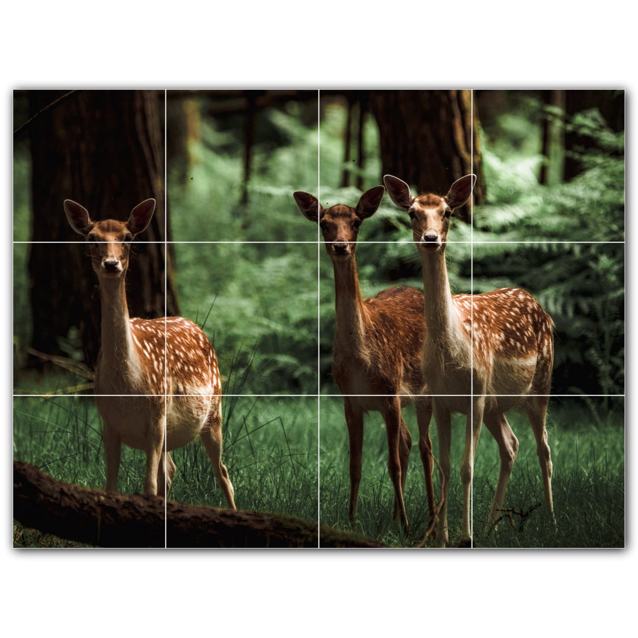 Picture-Tiles.com: Deer Ceramic Tile Wall Mural WAL500471-43M. 24"W x ...