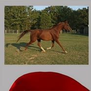 Be Strong Galloping Horse Sign - Walmart.com