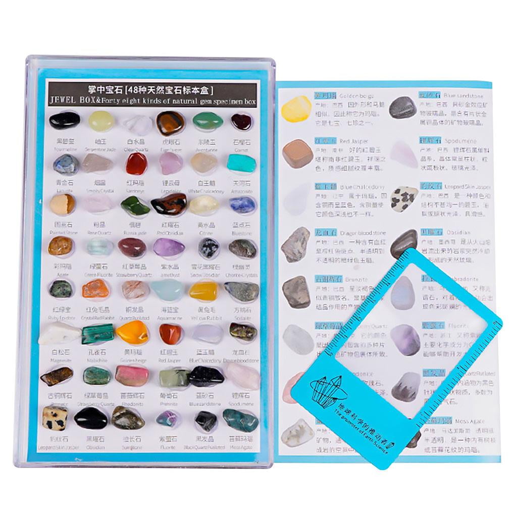 48 Pieces Rock and Mineral Collection Science Educational Information ...
