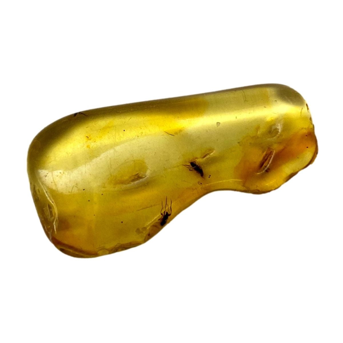 Genuine Amber Specimen with Insect Inclusions - 1 1/4" x 1/2" - Walmart.com
