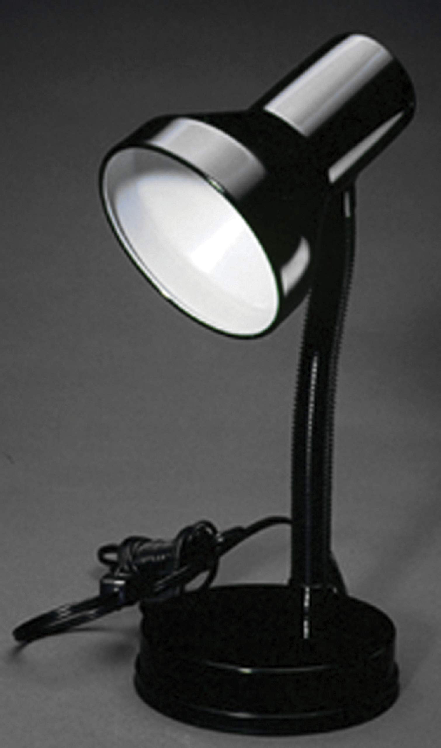 Buy American Educational 7-1200-15 Table Top Lamp with Gooseneck, 12 ...