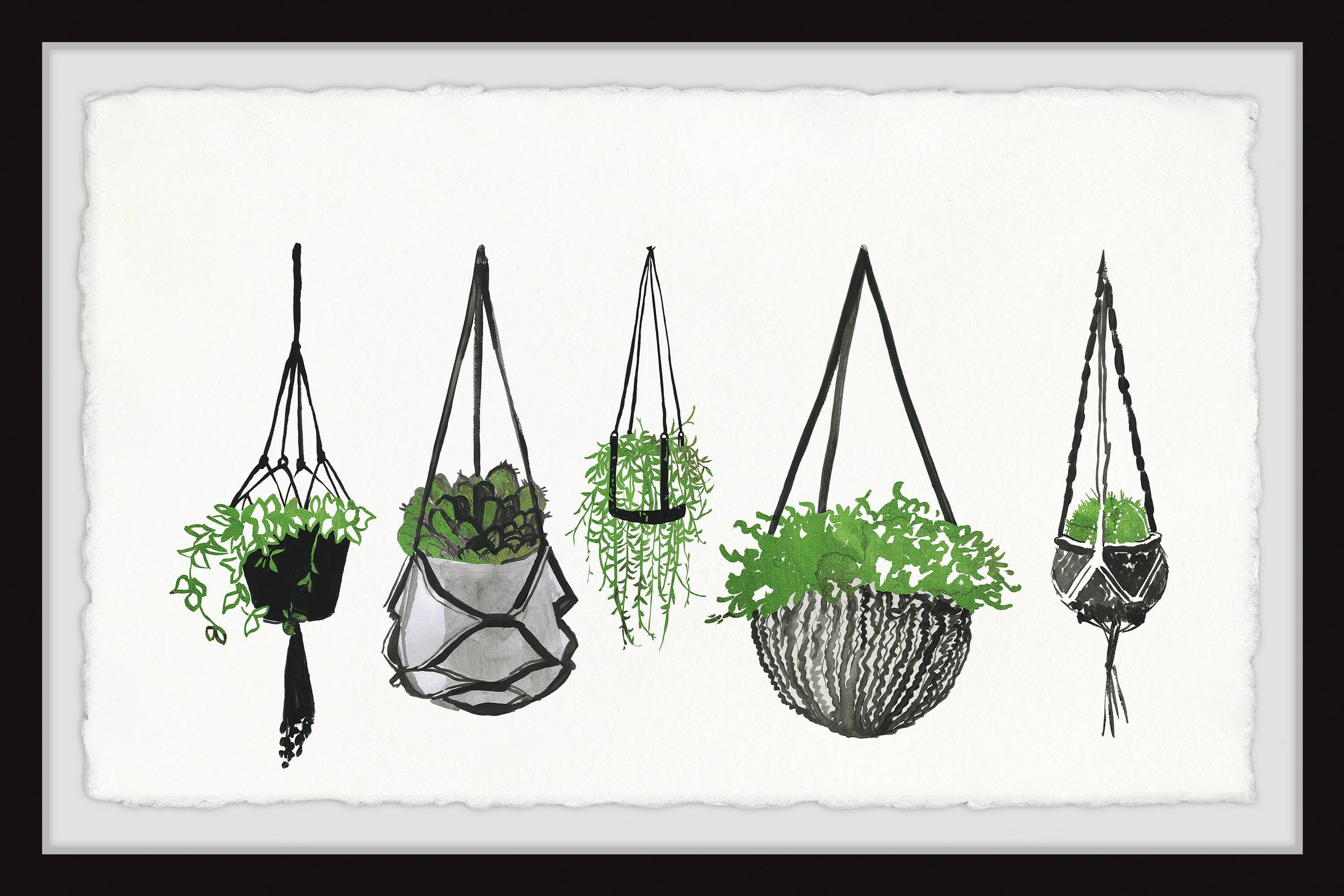 Hanging Plants III' Framed Painting Print - Multi-color - Walmart.com