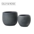 Olly & Rose Embossed Indoor & Outdoor Ceramic Plant Pot Set - Large ...
