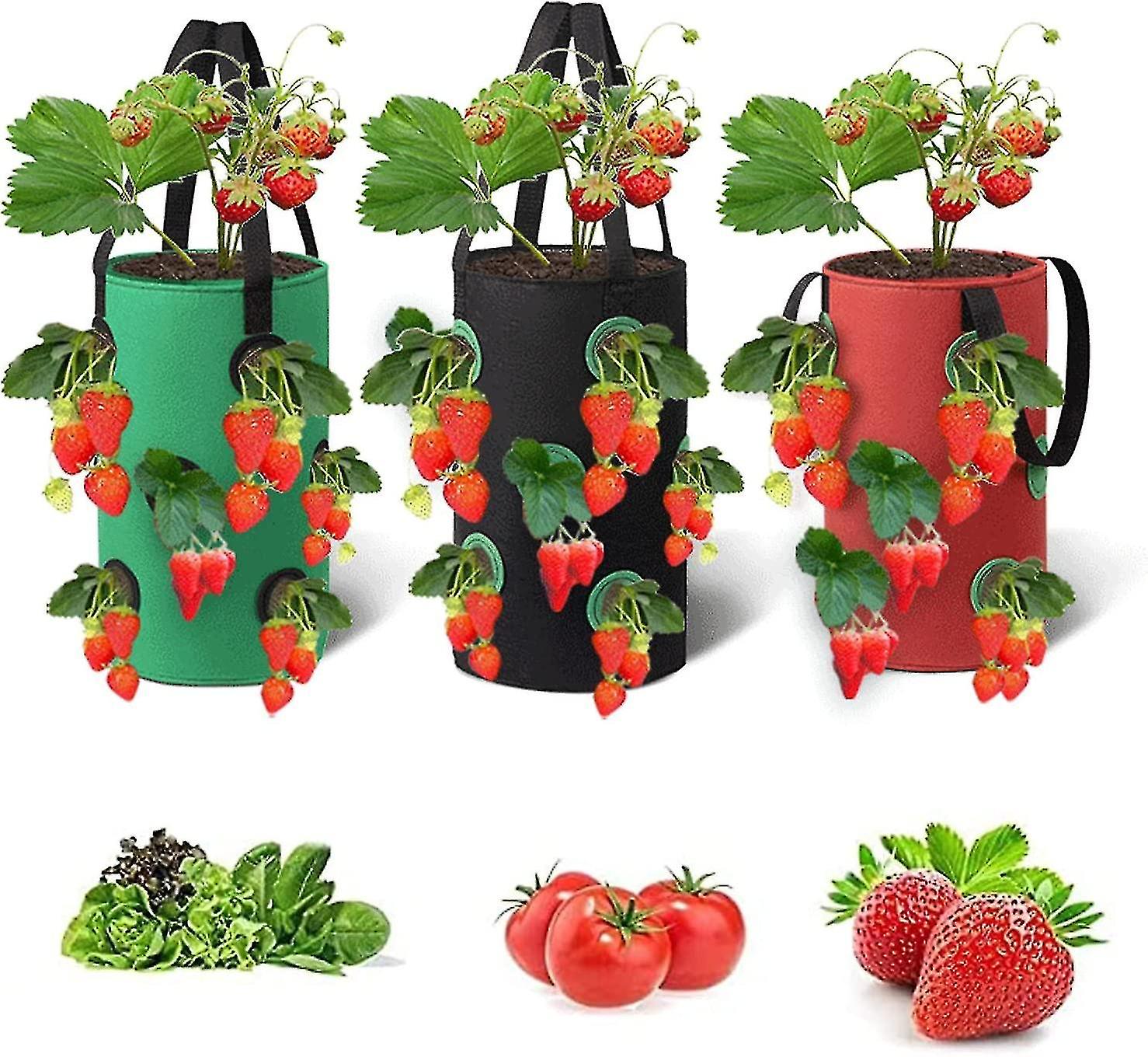 Bolsa para cultivo de fresas, 3 bolsas de tela transpirable para ...