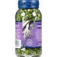 Litehouse Freeze Dried Spring BCF26 Onion - Fresh Spring Onion, 1 Bunch ...