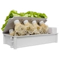 Hydrofarm GCSB Salad Box Hydroponic Soil-Free Salad Greens Garden ...