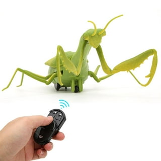 Terra by Battat ? Remote Control Infrared Light-Up Snake - Rainbow Boa ...