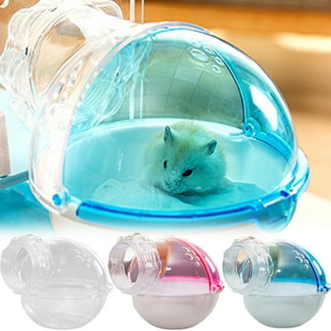 Spider Terrarium, Clear Acrylic Reptile Cage Habitat Insect Feeding Box ...