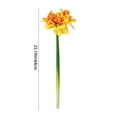 Artificial Clivia Amaryllis Flower, Lifelike Film Petals, 25.19in Tall ...