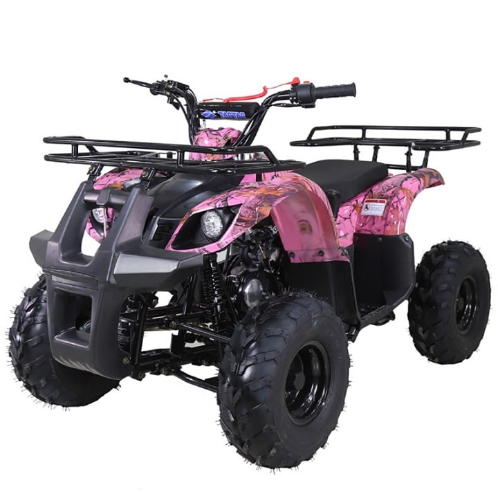 ATA Taotoao125D ATV 125 Air Cooled 4-Stroke 1-Cylinder, Automatic ...