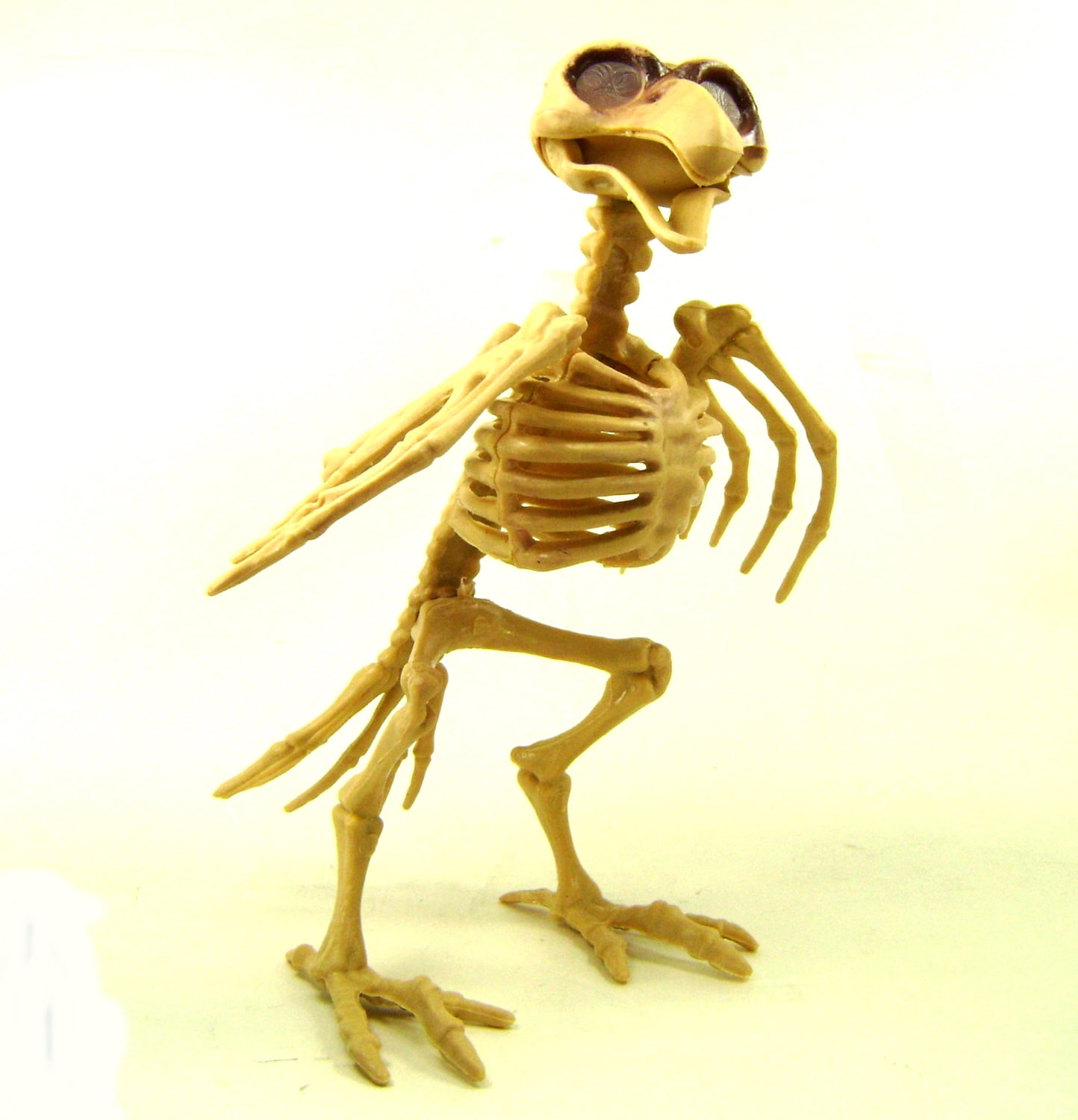 BIRD SKELETON Raven Crow Bones Spooky Decor Party Decoration Creepy ...